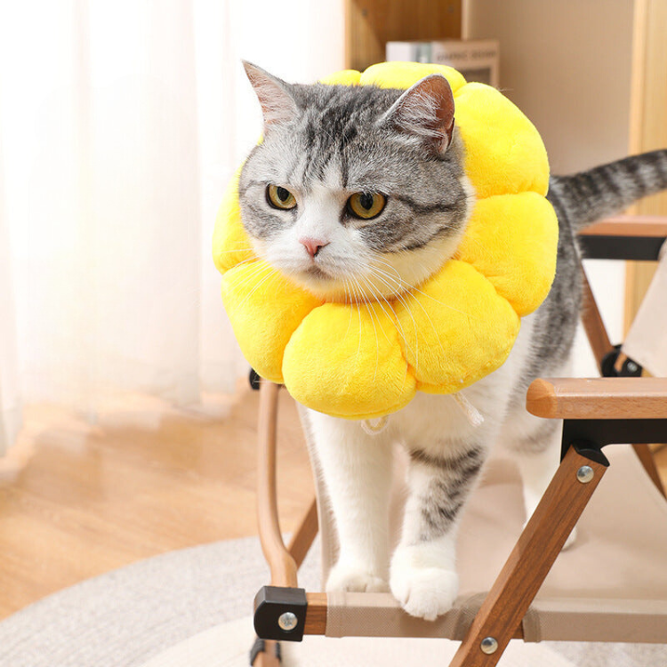 Sunflower Plush Collar Anti-licking – Pawpycup