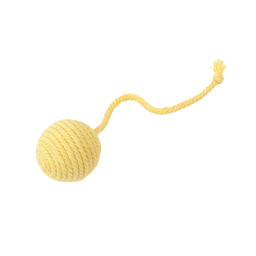 Interactive Cat Rope Feather Toys With Sound – Pawpycup