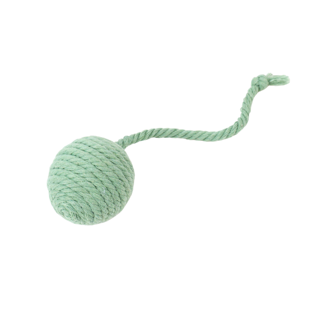 Interactive Cat Rope Feather Toys With Sound – Pawpycup