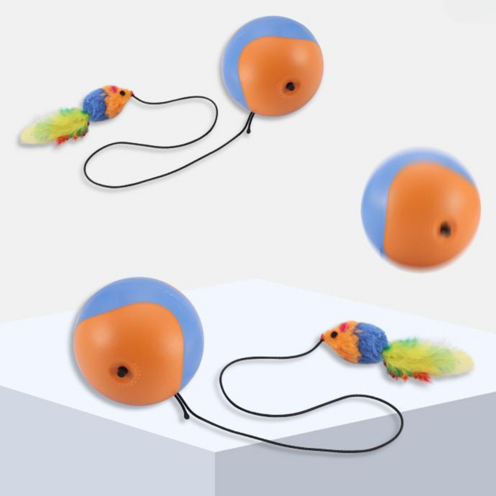 Cat Rolling Ball Toys With Mouse Feather – Pawpycup