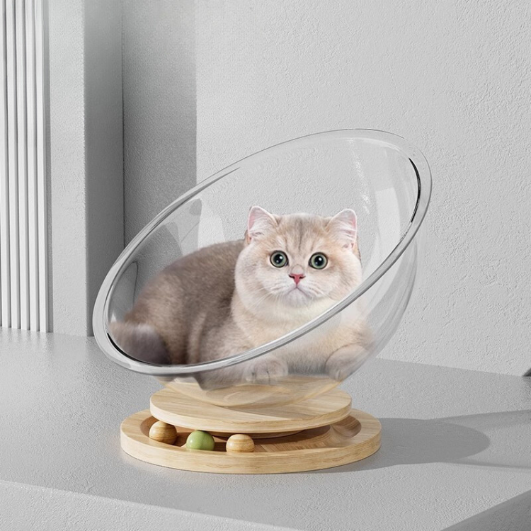 Space Capsule Acrylic Cat Bed – Pawpycup