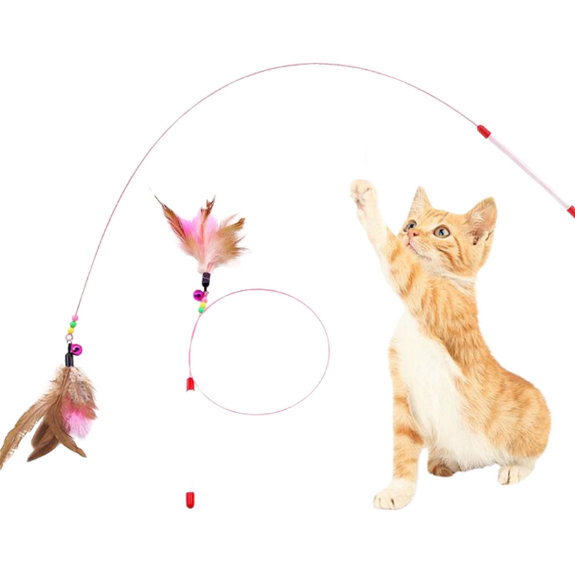Interactive Feather Cat Teaser Toys – Pawpycup