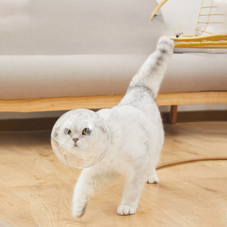 Breathable Cat Muzzle for Grooming Cat Helmet Cat Mouth Cover – Pawpycup