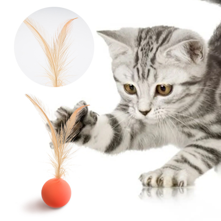 Interactive Elastic Jumping Ball With Feather – Pawpycup