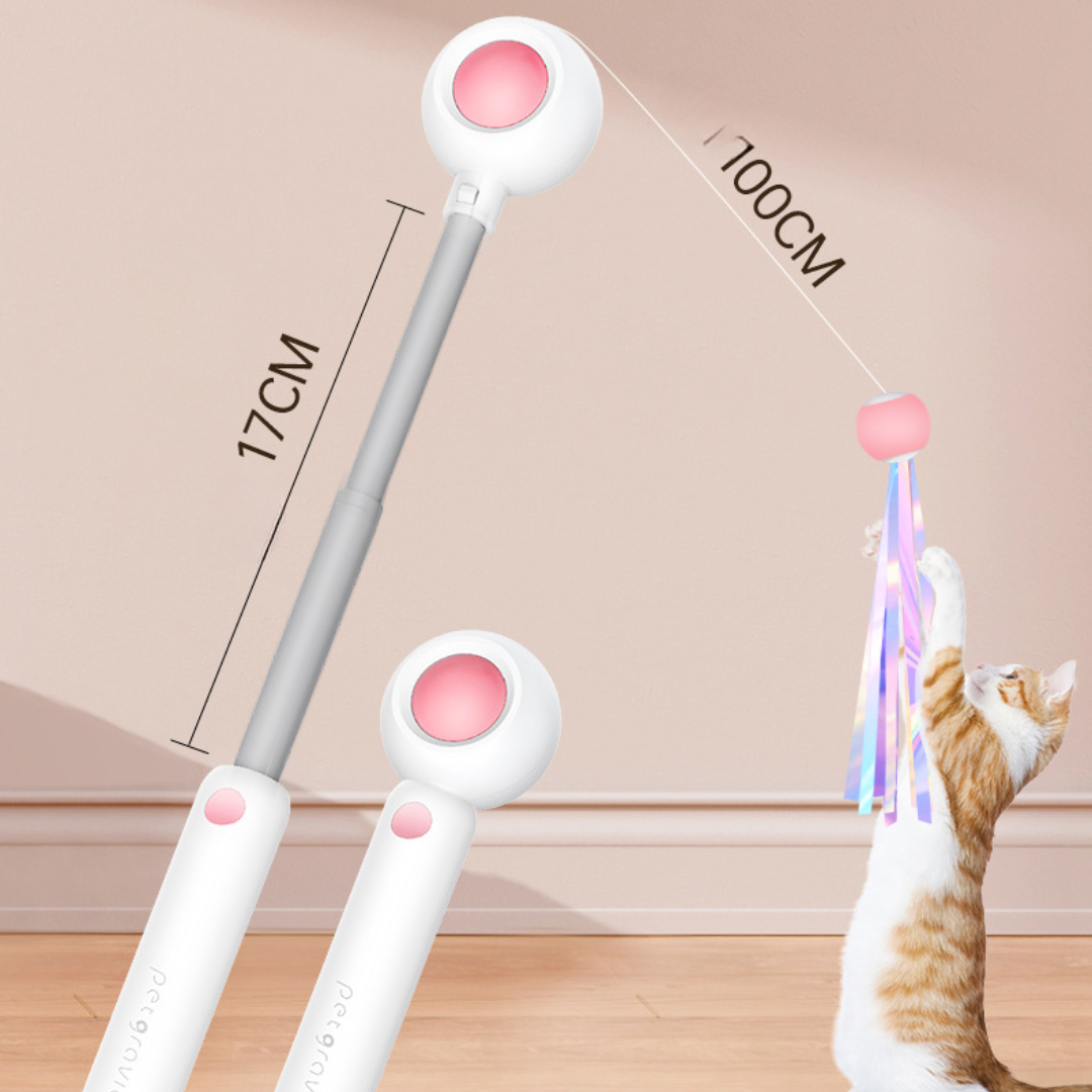 Cat Teaser Wand Toys With Laser Lights – Pawpycup