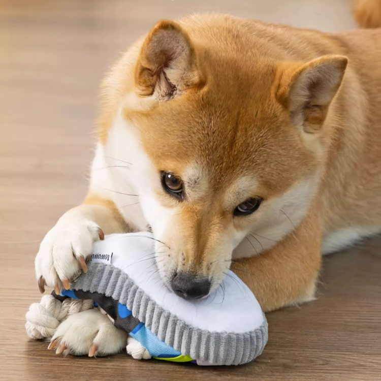 Pet Cotton Rope Slippers Dog Chew Squeaky Toys – Pawpycup