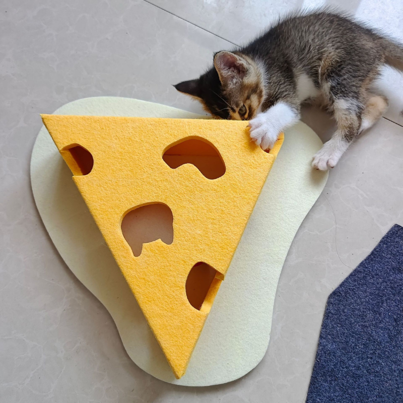 Interactive Cheese Slice Felt Cats Toy – Pawpycup