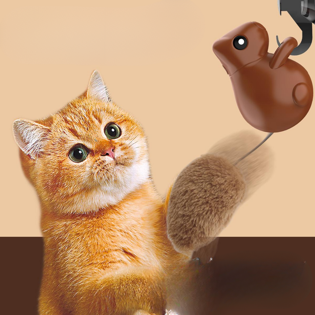 Interactive Hanging Squirrel Cat Teaser Toys – Pawpycup