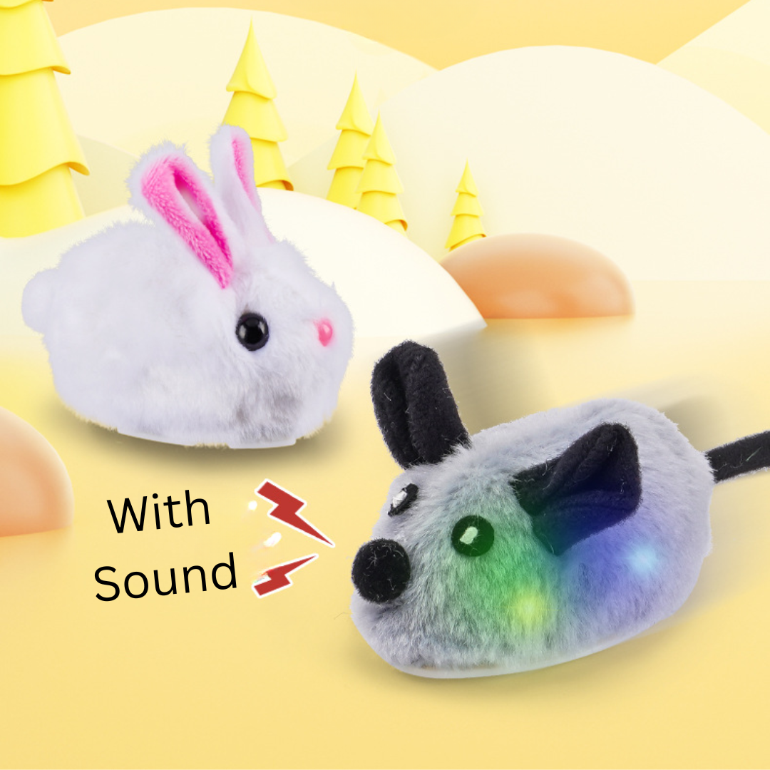 Interactive Electric Pet Mouse Rolling Cat Toys – Pawpycup