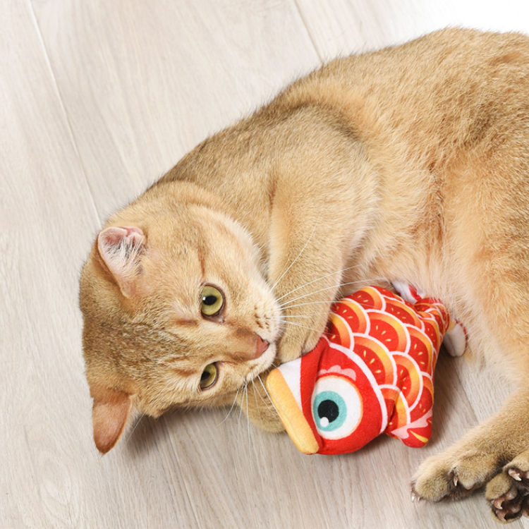 Interactive Flopping Fish Electronic Cat Toy – Pawpycup