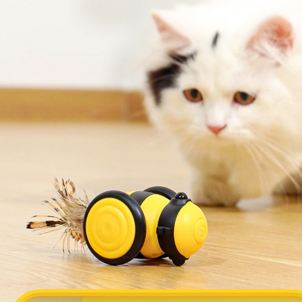 Bees Cat Car Toys – Pawpycup