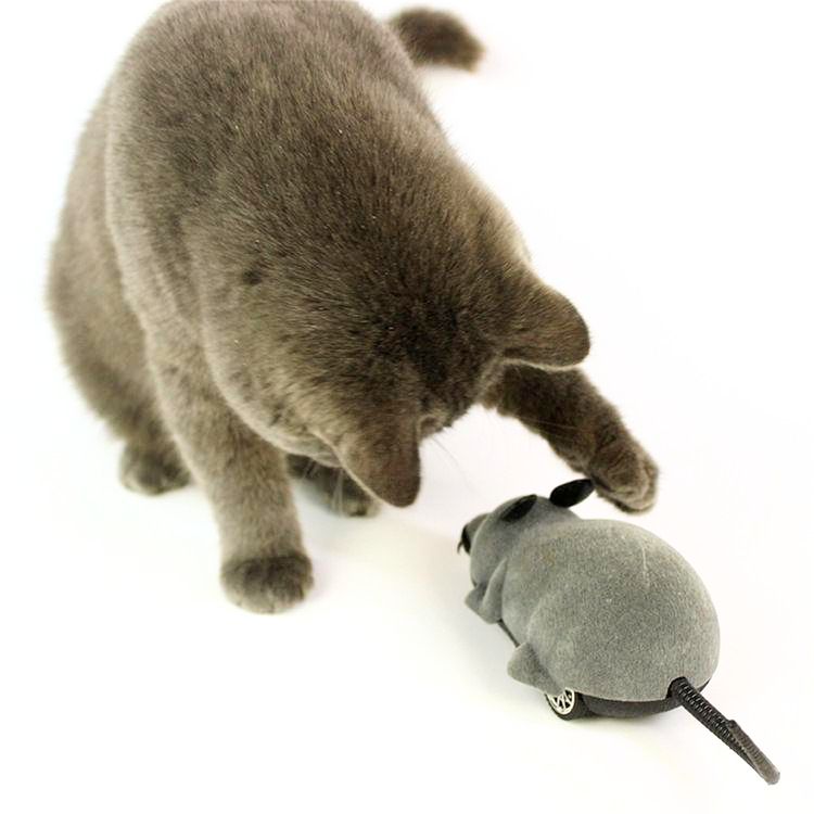 Interactive Electric Moving Cat Mouse Mice Toys – Pawpycup