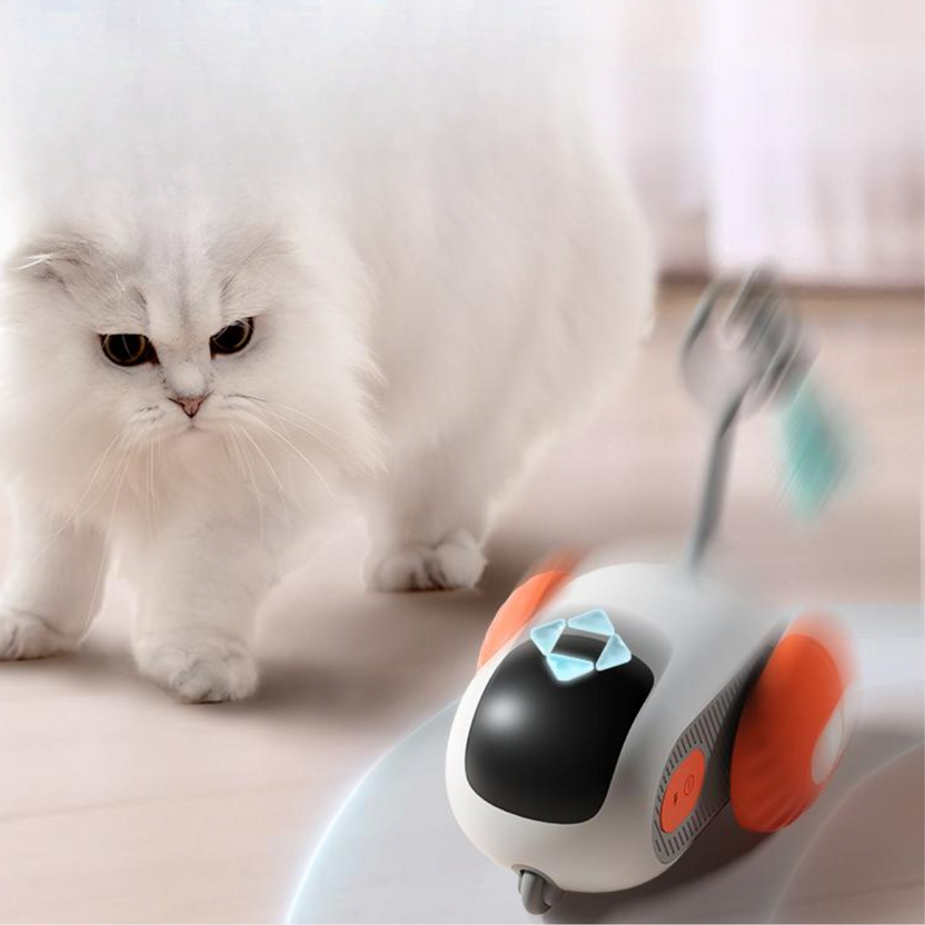 Electric Automatic Racing Car Toys For Cats – Pawpycup
