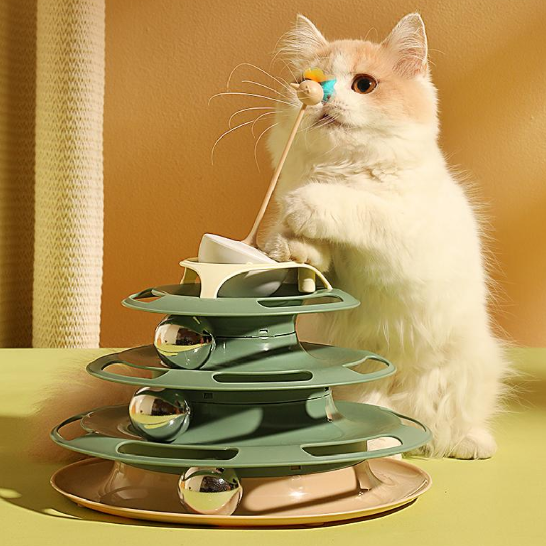 Interactive Cat Ball Tracks Cat Toy – Pawpycup