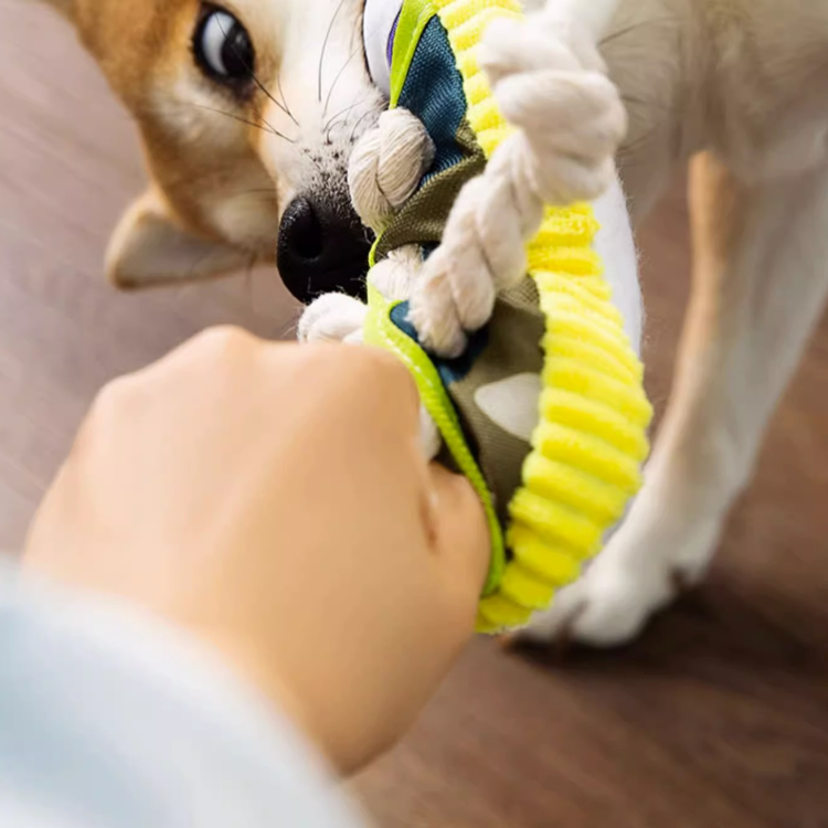 Pet Cotton Rope Slippers Dog Chew Squeaky Toys – Pawpycup