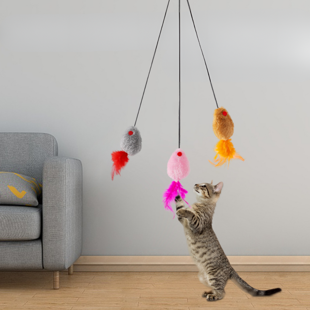 Hanging Cat Mouse Teaser Toys – Pawpycup