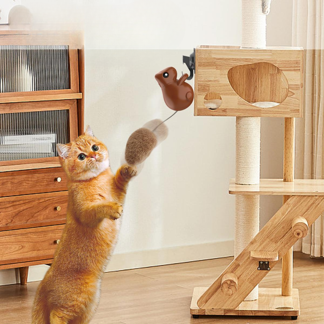 Interactive Hanging Squirrel Cat Teaser Toys – Pawpycup