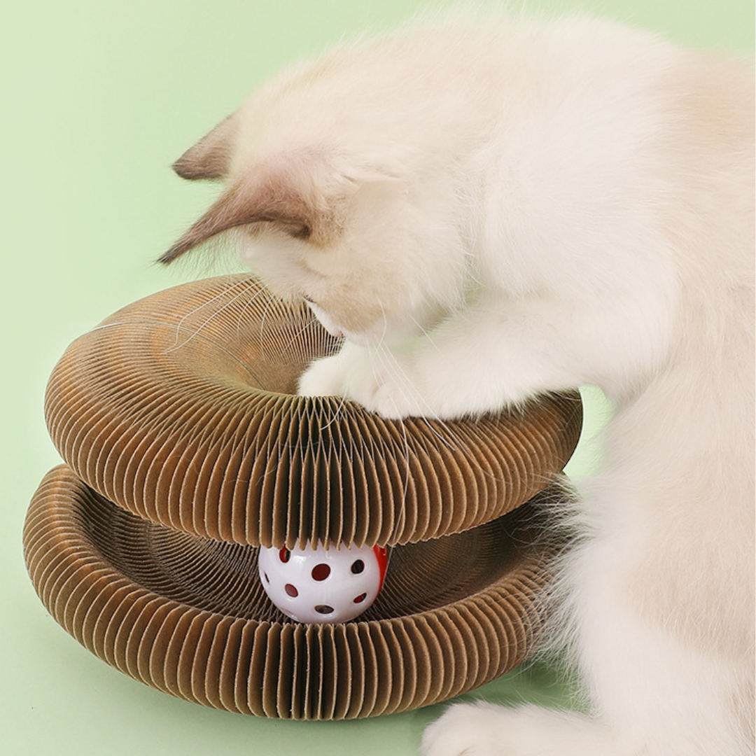 Cat Scratcher Toy – Pawpycup