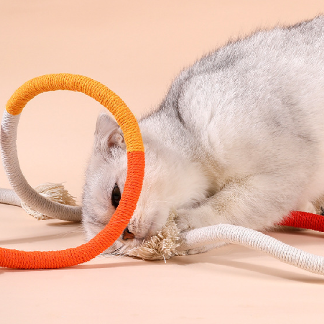 Interactive Cat Rope Chew Toys – Pawpycup