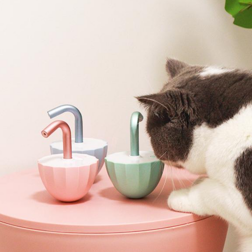 Interactive Tumbler Laser Light Toys – Pawpycup