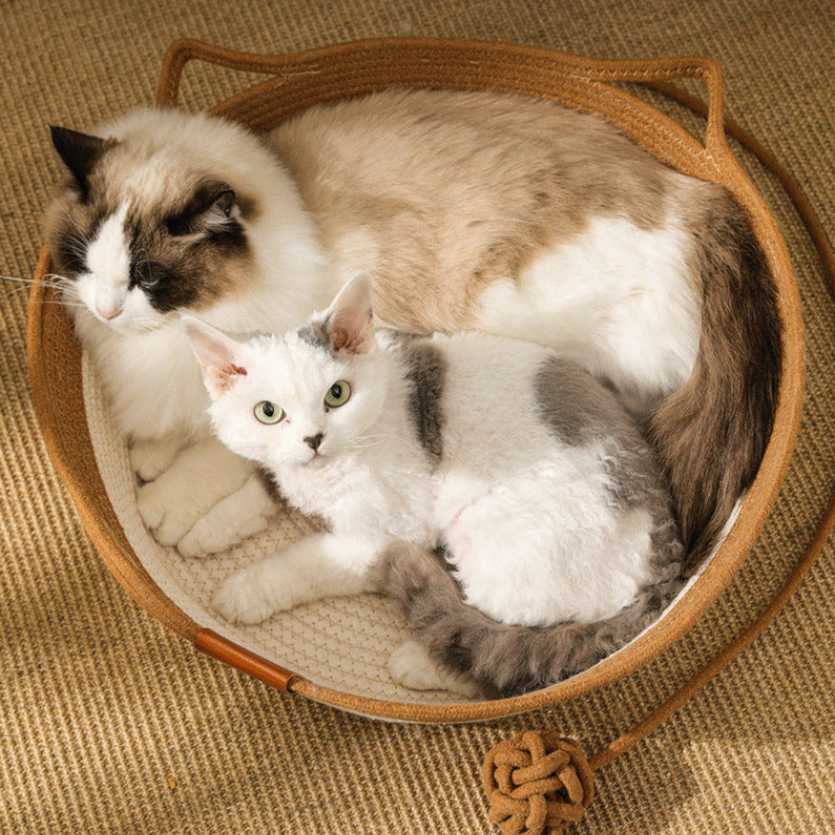 Woven Cat Bed Cotton Rope Bed Mat – Pawpycup