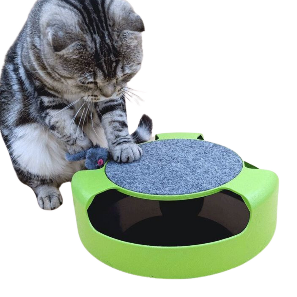 Interactive Cat Toy Mouse for Indoor Cats and Kittens Hunting Chasing ...
