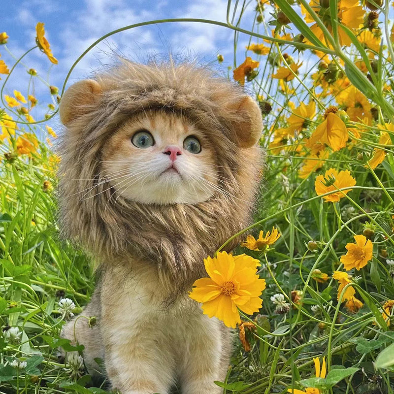 Cute Lion Mane Cat Costume Wig – Pawpycup
