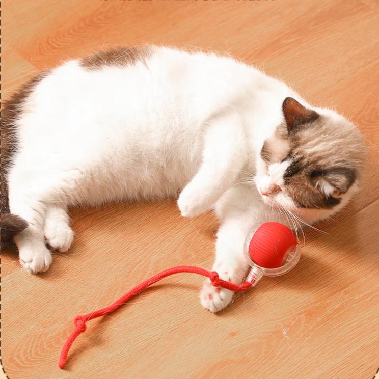Intelligent Electric Cat Toy Automatic Rolling Ball – Pawpycup